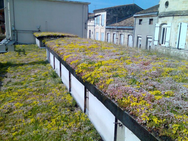 Sol et parking végétalisés : apporter la nature partout en ville