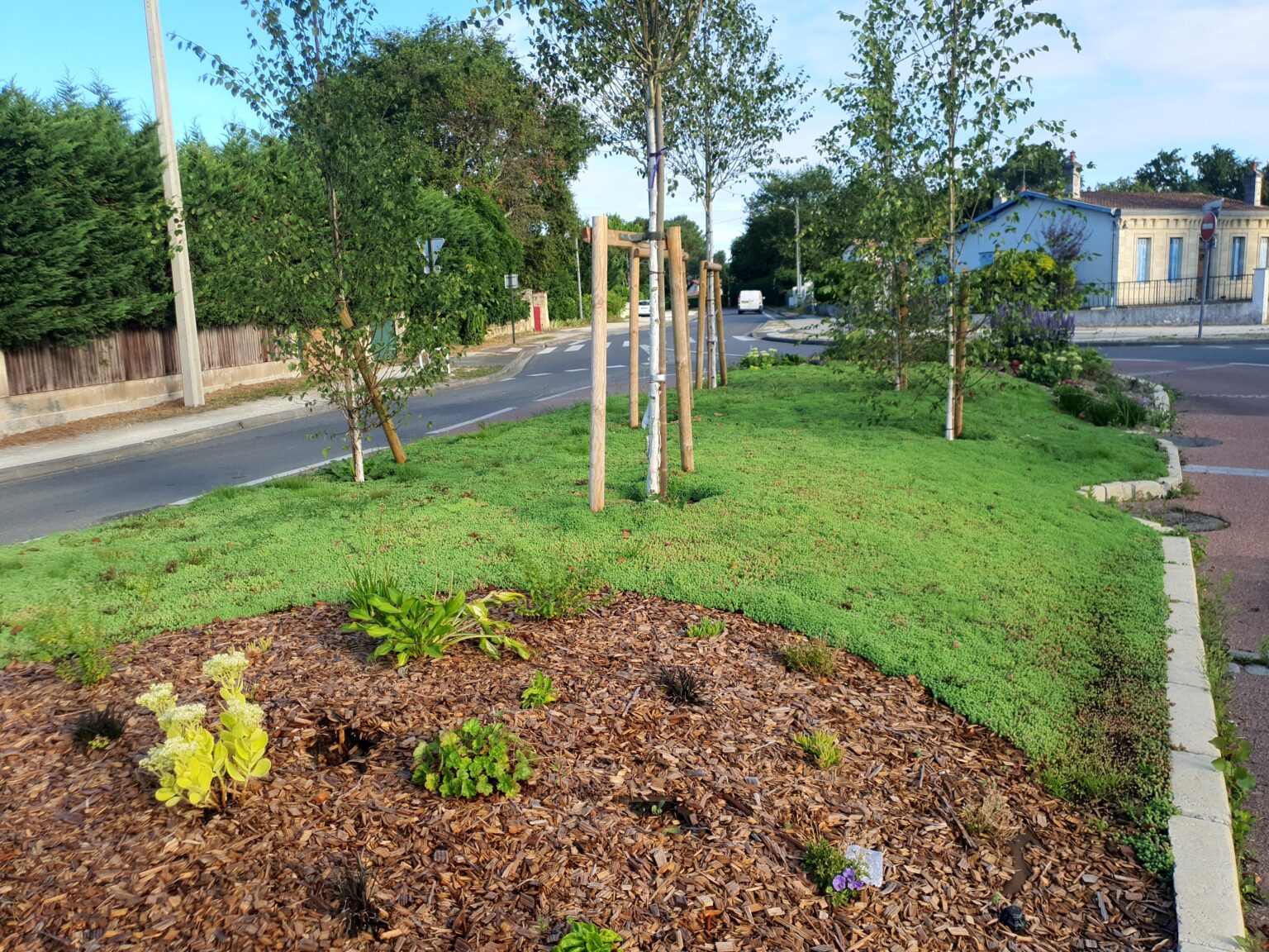 Sol et parking végétalisés : apporter la nature partout en ville