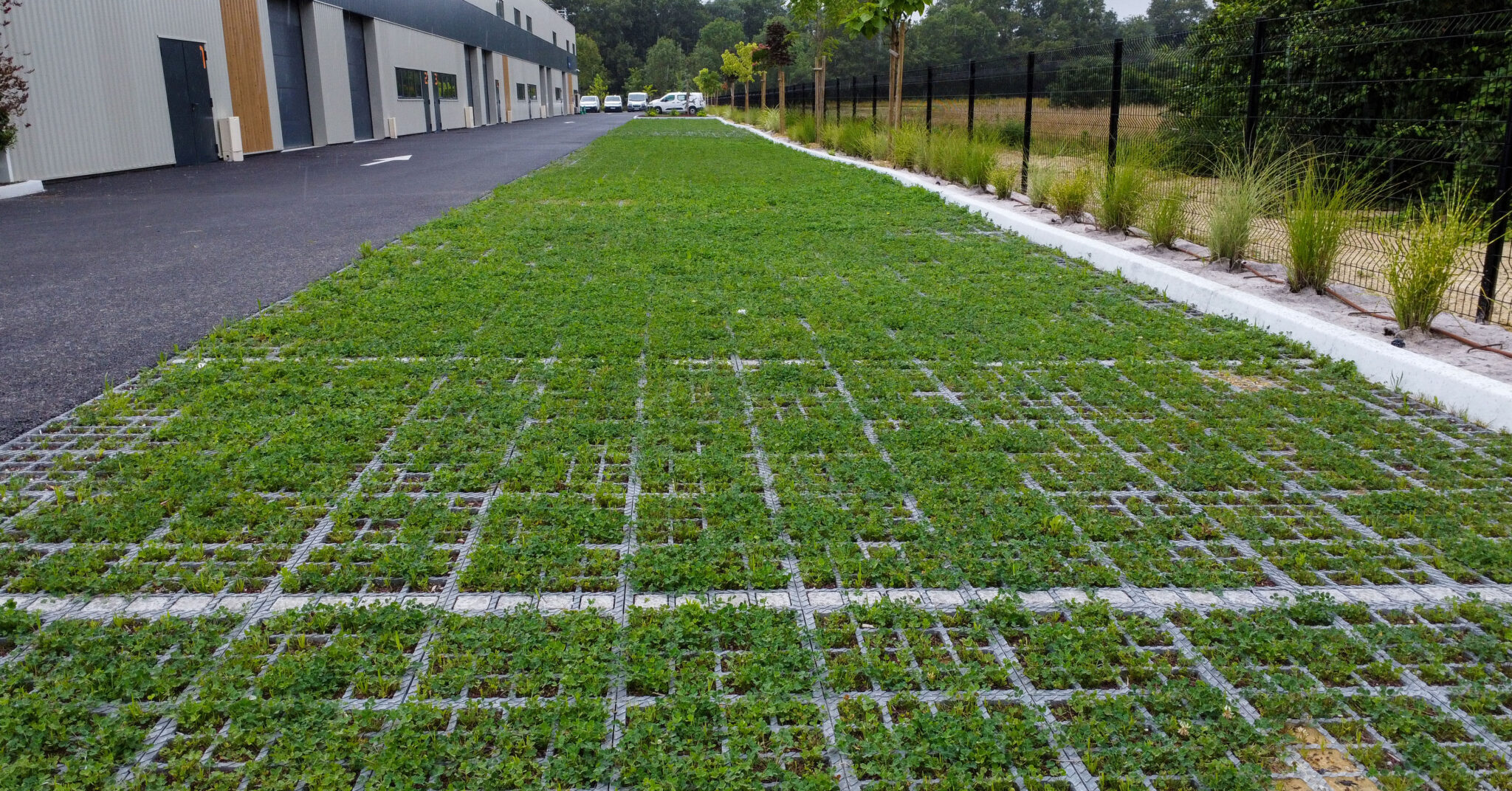 Sol et parking végétalisés : apporter la nature partout en ville