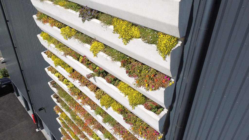 Mur végétalisé : des solutions esthétiques et écologiques